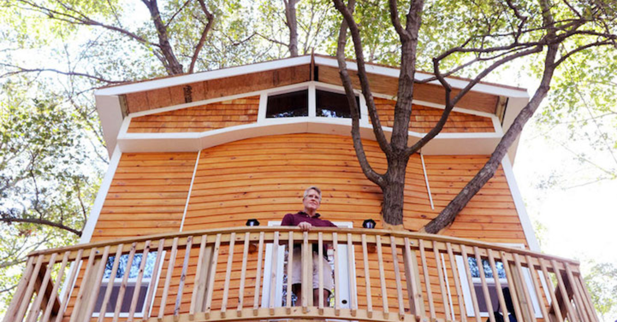 The ultimate treehouse - Blog | Blue Brown